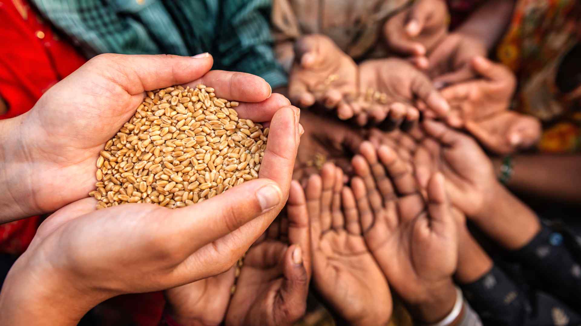 Food Security & Nutrition | Report Card 2014-24 - Financial ...